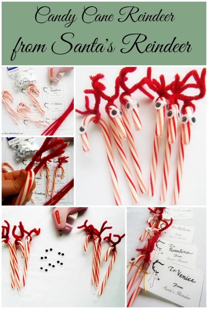 Candy Cane Reindeer with Reindeer Tags + More Reindeer Treats | Home ...