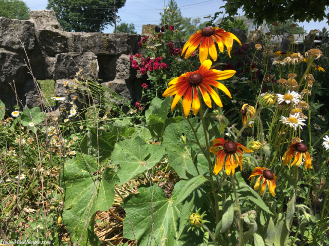 A Trip to the Limberlost in Geneva, Indiana | Home Maid Simple